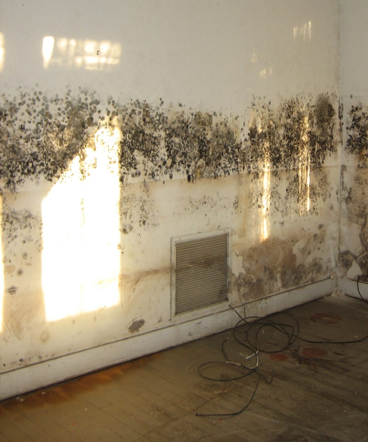 Housing Disrepair Team UK