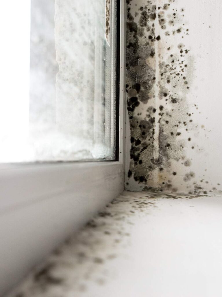 Housing Disrepair Team UK